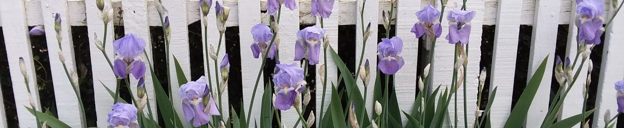 Home - Iris Hill Tailoring LLC - New and Altered Kilts